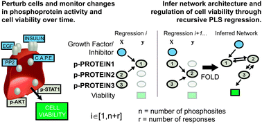 The DIONESUS algorithm provides scalable and accurate reconstruction of ...