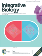Front cover - Integrative Biology (RSC Publishing)