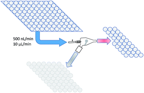 Using nanoparticles to determine the transport efficiency of microflow ...