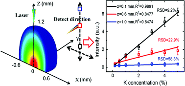 Investigation of the self-absorption effect using spatially resolved ...