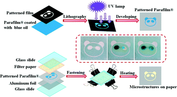 Microfluidic paper-based analytical devices fabricated by low-cost photolithography and ...