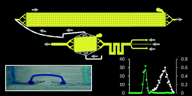 Modular microfluidics for point-of-care protein purifications - Lab on ...