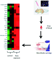 Point-of-care diagnostics for ricin exposure - Lab on a Chip (RSC ...
