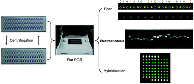A fully sealed plastic chip for multiplex PCR and its application in ...