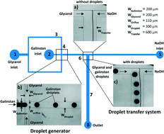 Continuous transfer of liquid metal droplets across a fluid–fluid ...