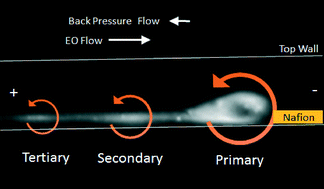 Vortex chain formation in regions of ion concentration polarization ...