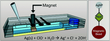 Paper diagnostic device for quantitative electrochemical detection of ...