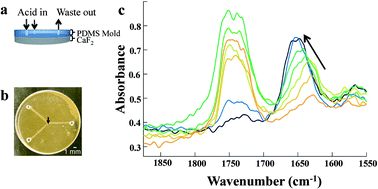 Fabrication of IR-transparent microfluidic devices by anisotropic ...