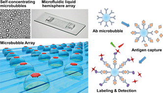 Self-concentrating buoyant glass microbubbles for high sensitivity ...