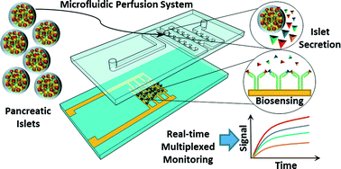 Microfluidic perfusion systems for secretion fingerprint analysis of ...