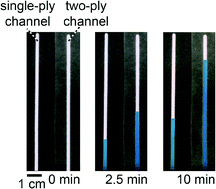 Two-ply channels for faster wicking in paper-based microfluidic devices ...