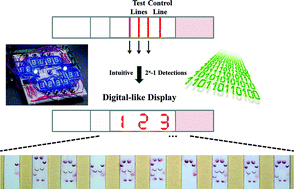 Multiplex lateral flow detection and binary encoding enables a ...