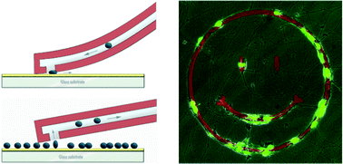 Controlled single-cell deposition and patterning by highly flexible ...