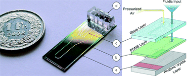 Hybrid PDMS/glass microfluidics for high resolution imaging and ...