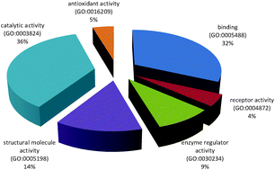 Proteomic characterization of the qualitative and quantitative ...