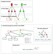 Synergy evaluation by a pathway–pathway interaction network: a new way ...