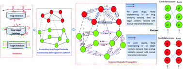 Prediction of drug–target interaction by label propagation with mutual ...