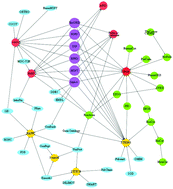 Detecting reliable non interacting proteins (NIPs) significantly ...