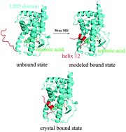 A two-step binding mechanism for the self-binding peptide recognition ...