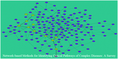 Network-based methods for identifying critical pathways of complex ...