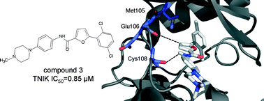 Discovery of TRAF-2 and NCK-interacting kinase (TNIK) inhibitors by ...