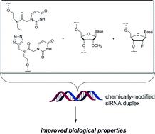 Synthesis and in vitro assessment of chemically modified siRNAs ...