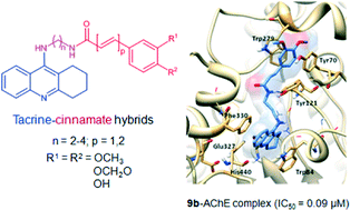 Design, synthesis and bioevaluation of tacrine hybrids with cinnamate ...