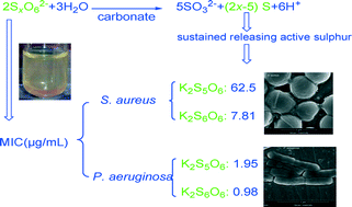 Antibacterial activities of polythionates enhanced by carbonates ...
