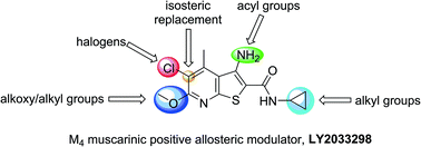 A structure–activity relationship study of the positive allosteric ...