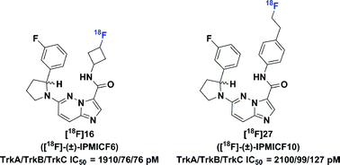 Development of subnanomolar radiofluorinated (2-pyrrolidin-1-yl)imidazo ...