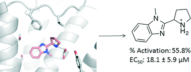 Discovery of trace amine-associated receptor 1 ligands by molecular ...