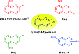 Efficient synthesis of novel disubstituted pyrido[3,4-b]pyrazines for ...