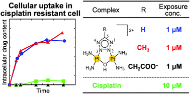 Highly efficient uptake into cisplatin-resistant cells and the ...