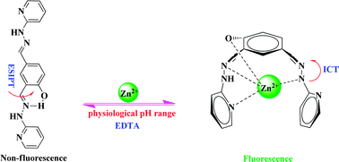 A simple pincer-type chemosensor for reversible fluorescence turn-on detection of zinc ion at ...