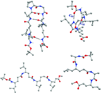 Structural characterization of folded and extended conformations in ...