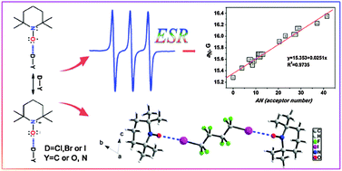 Exploring the halogen bond specific solvent effects in halogenated ...
