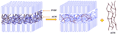 Effects of dynamic vulcanization on the kinetics of isothermal ...