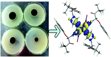 Two Cu(ii) complexes of triadimefon: crystal structure, antifungal ...