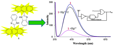 Hg2+-induced deprotonation of an anthracene-based chemosensor: set–reset flip-flop at the ...