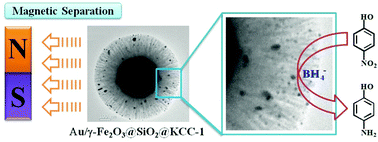 Gold nanoparticle modified magnetic fibrous silica microspheres as a ...