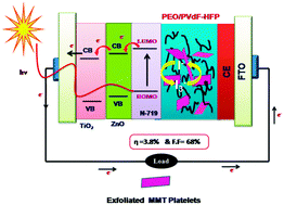 Chemically exfoliated nanosilicate platelet hybridized polymer ...