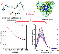 Mechanism, kinetics, and antimicrobial activities of 2-hydroxy-1 ...
