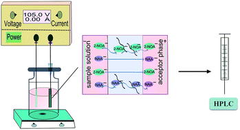 Electromembrane extraction based on carbon nanotubes reinforced hollow ...
