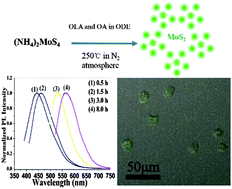 Colloidal synthesis of MoS2 quantum dots: size-dependent tunable ...