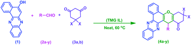 Tetramethylguanidiniumchlorosulfonate ionic liquid (TMG IL): an ...