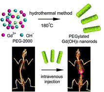 PEGylated Gd(OH)3 nanorods as metabolizable contrast agents for ...