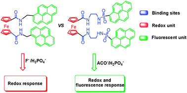 Pyrenyl-functionalized ferrocenes for multisignaling recognition of ...