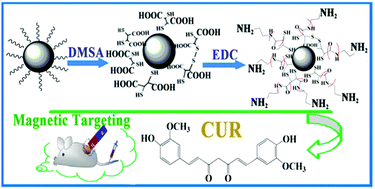 Superparamagnetic Fe3O4 nanoparticles: synthesis by a solvothermal ...