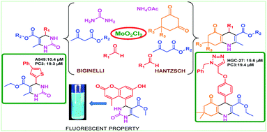 MoO2Cl2 catalyzed efficient synthesis of functionalized 3,4 ...