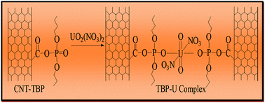 The synthesis and characterization of tributyl phosphate grafted carbon ...